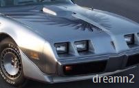 1979 1980 1981 Trans Am Front & Side Marker Lights & Parts