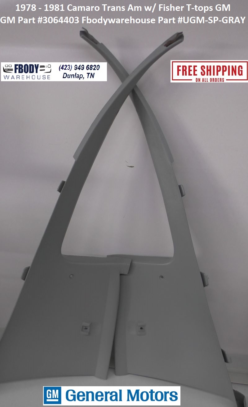 1978 - 1981 Camaro Trans Am Sail Panel USED GM Gray for T-top Cars PAIR ...
