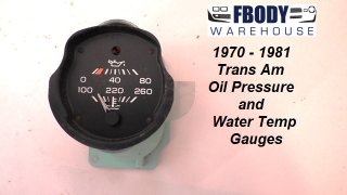 1979 1980 1981 Trans Am & Firebird Gauges.