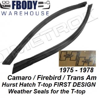 1974 - 1978 Trans Am Firebird T-top Parts